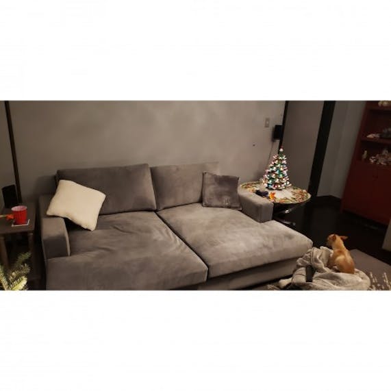 Anton Daybed | Joybird