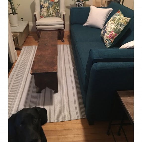 Roller Sleeper Sofa | Joybird