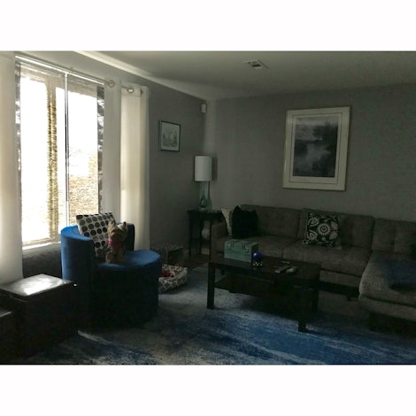 Carly Swivel Chair | Joybird