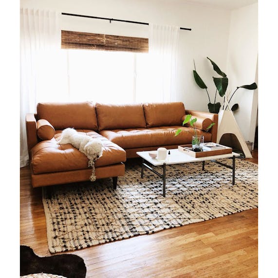 Briar Leather Sectional Joybird
