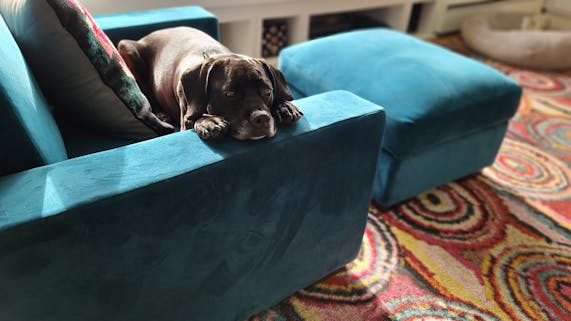 Anton Storage Ottoman Joybird