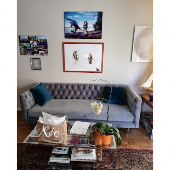 Eugene Sofa | Joybird