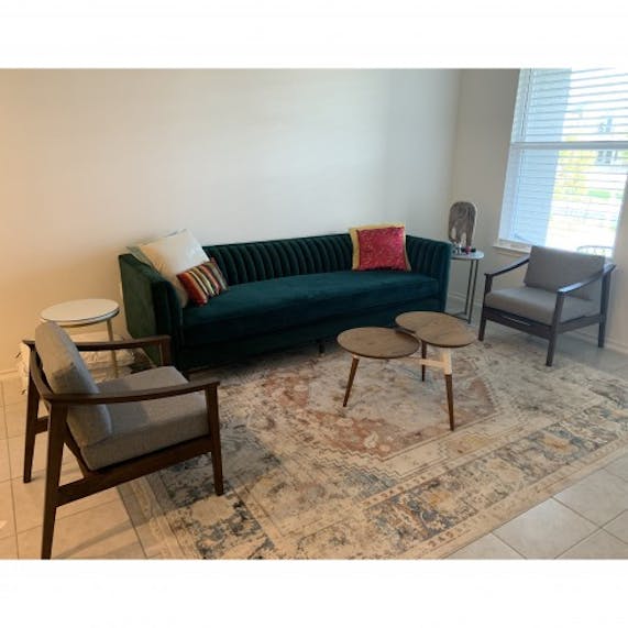 Zailey Rug | Joybird