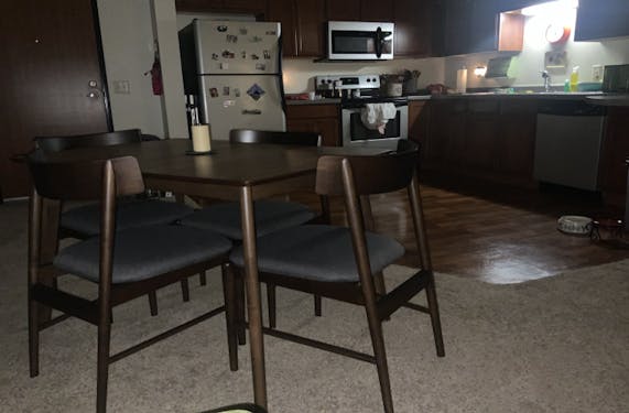 Remy Dining Chair (Set of 2) | Joybird